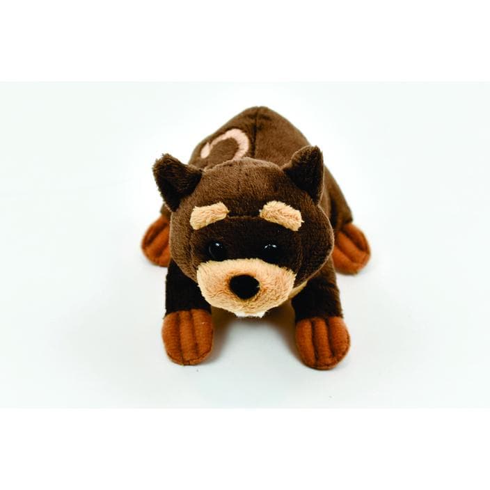 Bucky the Beaver Finger Puppet – U'mista Cultural Centre